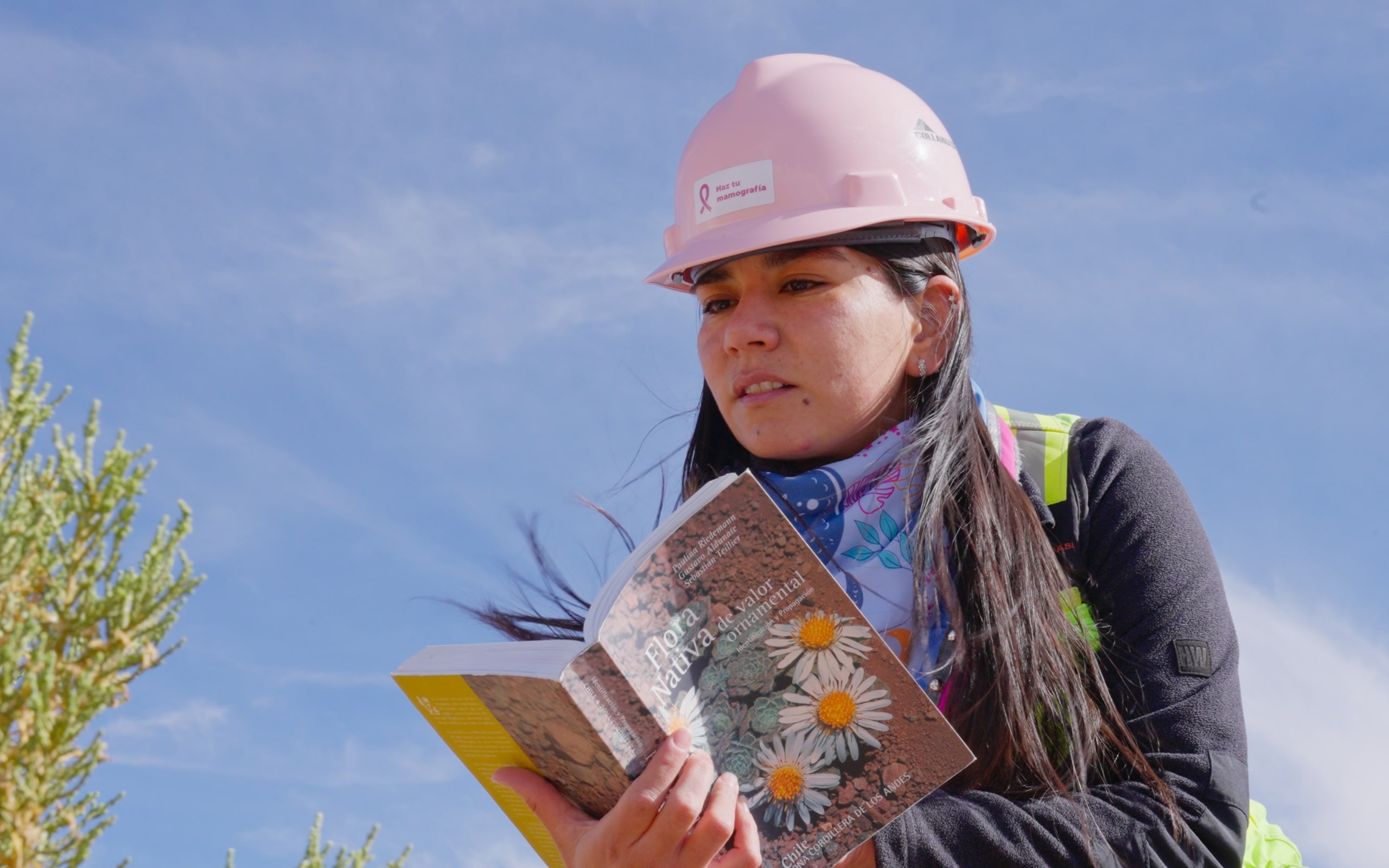 Nuestra compañía | Collahuasi